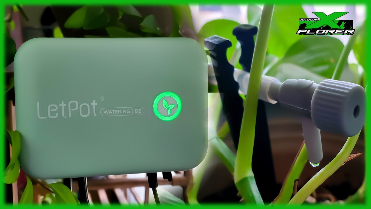 Letpot Automatic Watering System - Review and Testing - YouTube