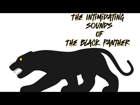 THE INTIMIDATING SOUNDS OF THE BLACK PANTHER! - YouTube