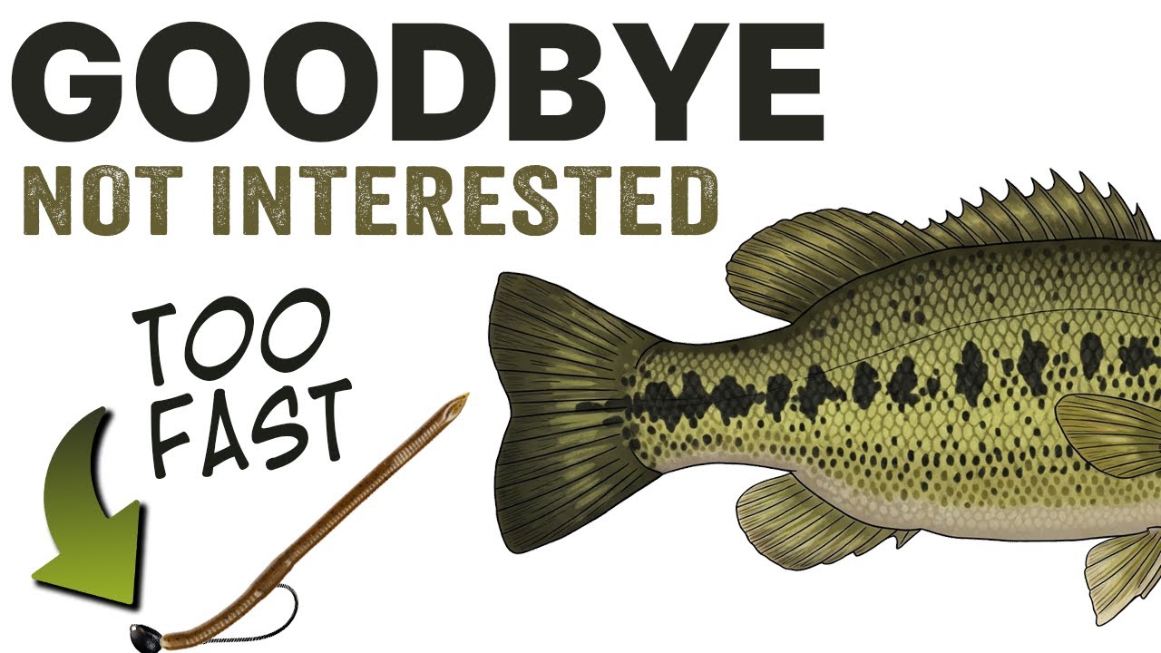 The #1 Bass Fishing MISTAKE You're Making (And How to Fix It NOW ...