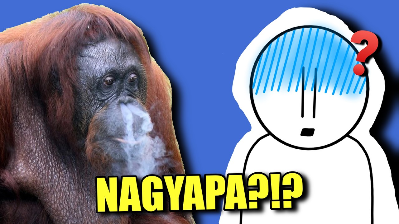 Drogozó majmok és Darwin az Egyház ellen? - Honnan jöttünk? - YouTube