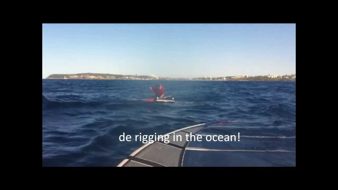 windsurfing rescue with whales - YouTube