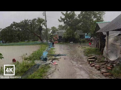 Bangladesh Village Rain Ambience | Rain sounds for Relaxation & Meditation