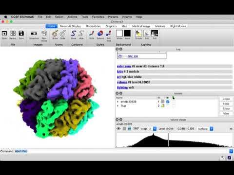 How to color proteins in a cryoEM map with ChimeraX - YouTube