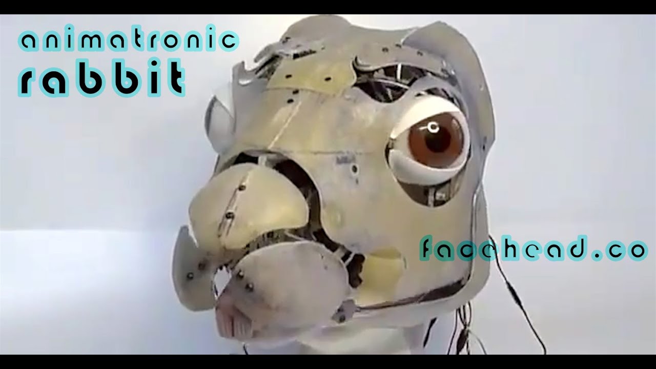 Animatronic Rabbit Head : facehead.co - YouTube