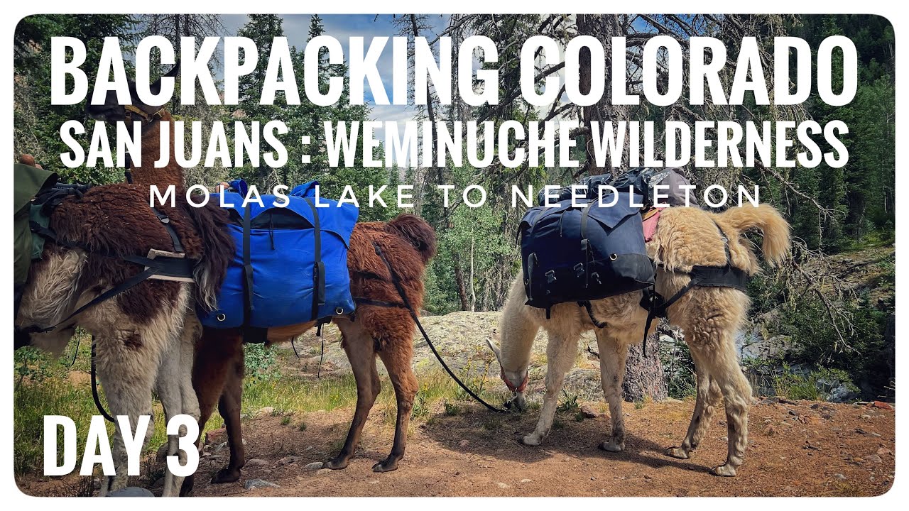 Colorado Hiking. Molas Lake To Needleton. Day 3 - YouTube