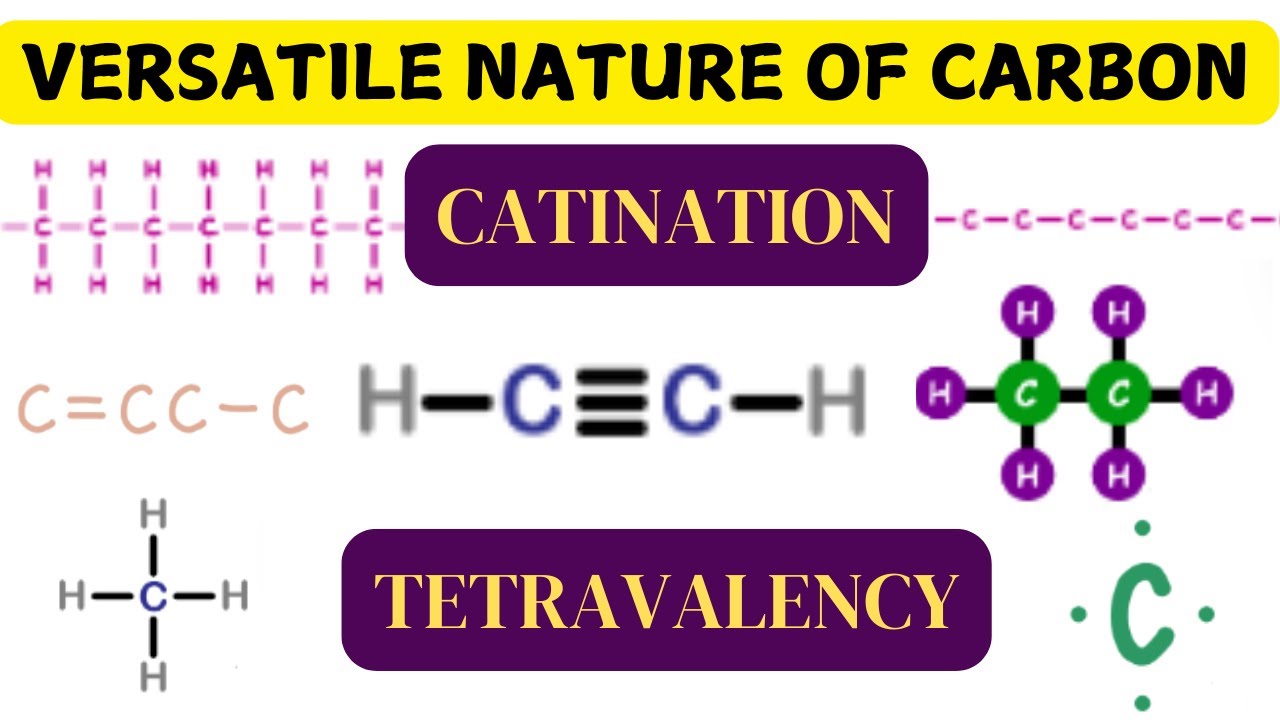 L3.Versatile nature of Carbon|Catenation|Tetravalency - YouTube