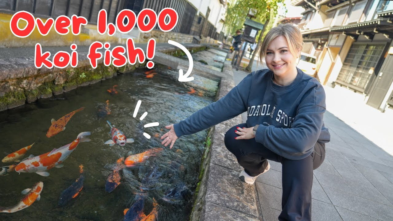 This Japanese Town has KOI FISH in the Streets 😍 ft. @AbroadinJapan ...