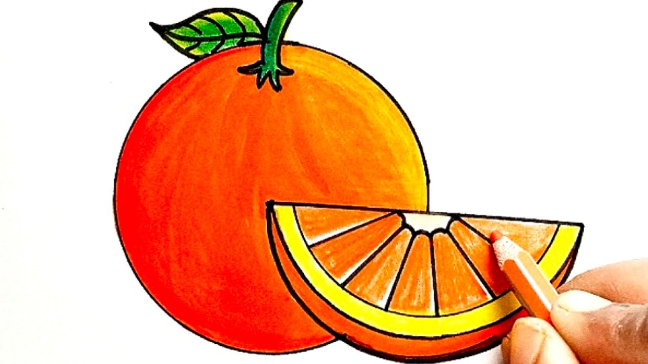 Orange Drawing || How To Draw Orange Easy Step By Step || Orange 🍊 ...