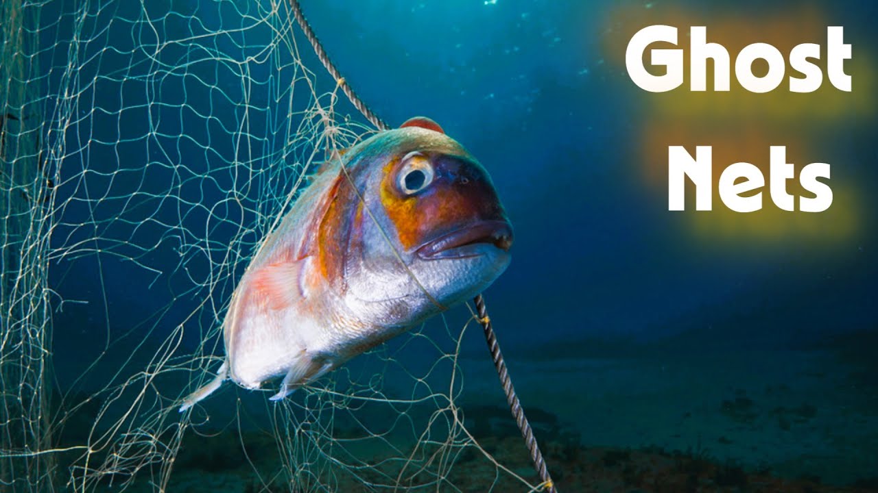 Ghost Nets: Silent Killers in Our Oceans - YouTube