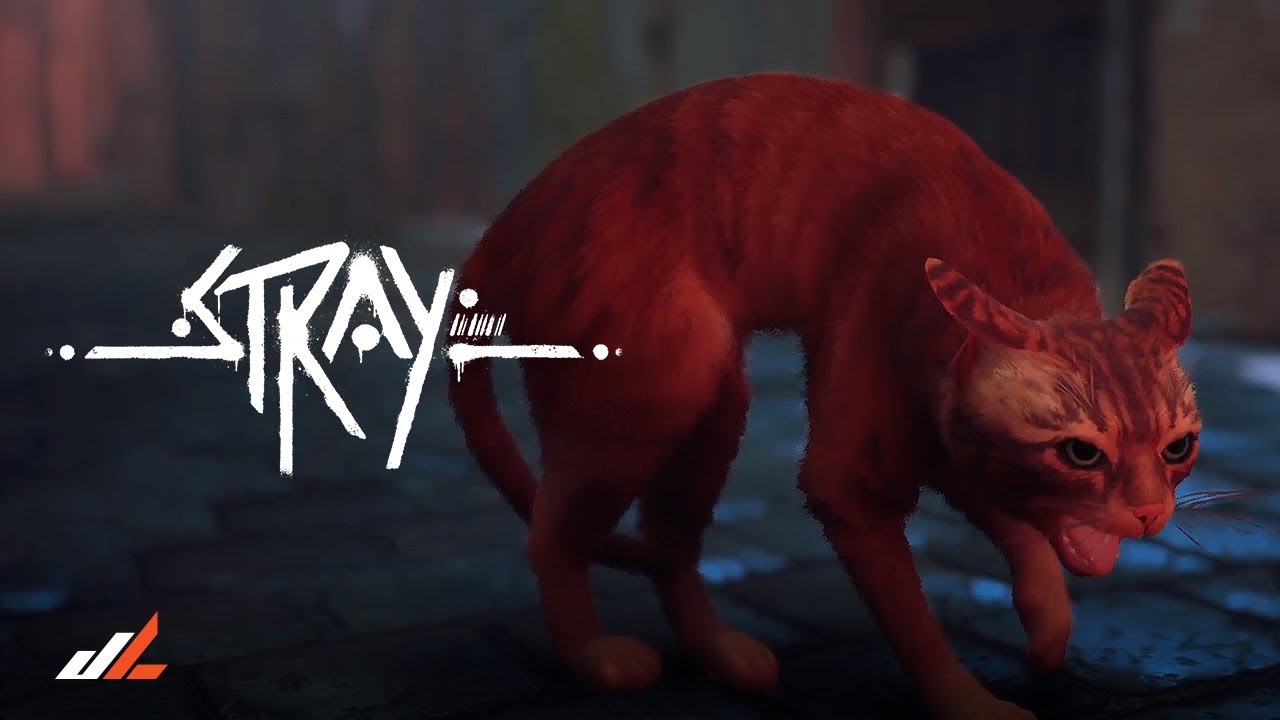 Cute Stray Cat Dies From Mutated Fleas YouTube cute-stray-cat-dies-from-mutated-fleas-youtube