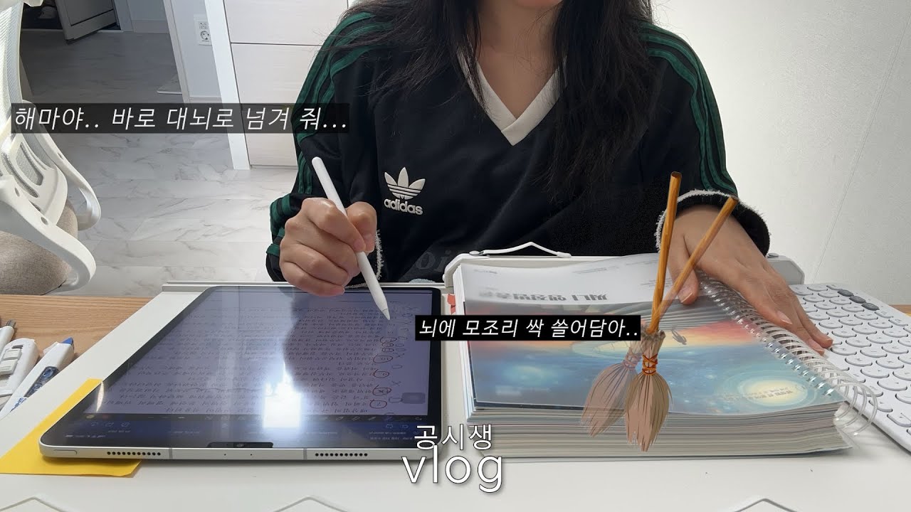Vlog 공시생 브이로그 해마야 이거 중요한 거니까 다 대뇌로 넘겨 제발 니가 멋대로 버리니까 자꾸 까먹잖아