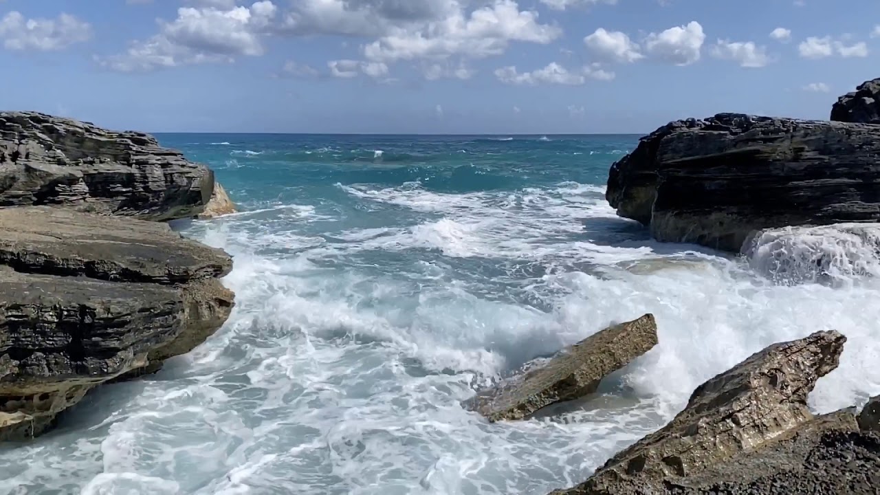 Spittal Pond Nature Reserve Bermuda Waves - YouTube