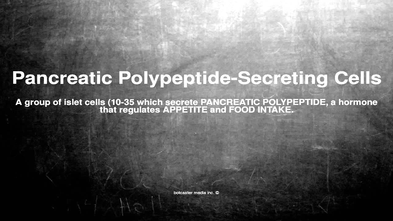 Medical vocabulary: What does Pancreatic Polypeptide-Secreting Cells ...