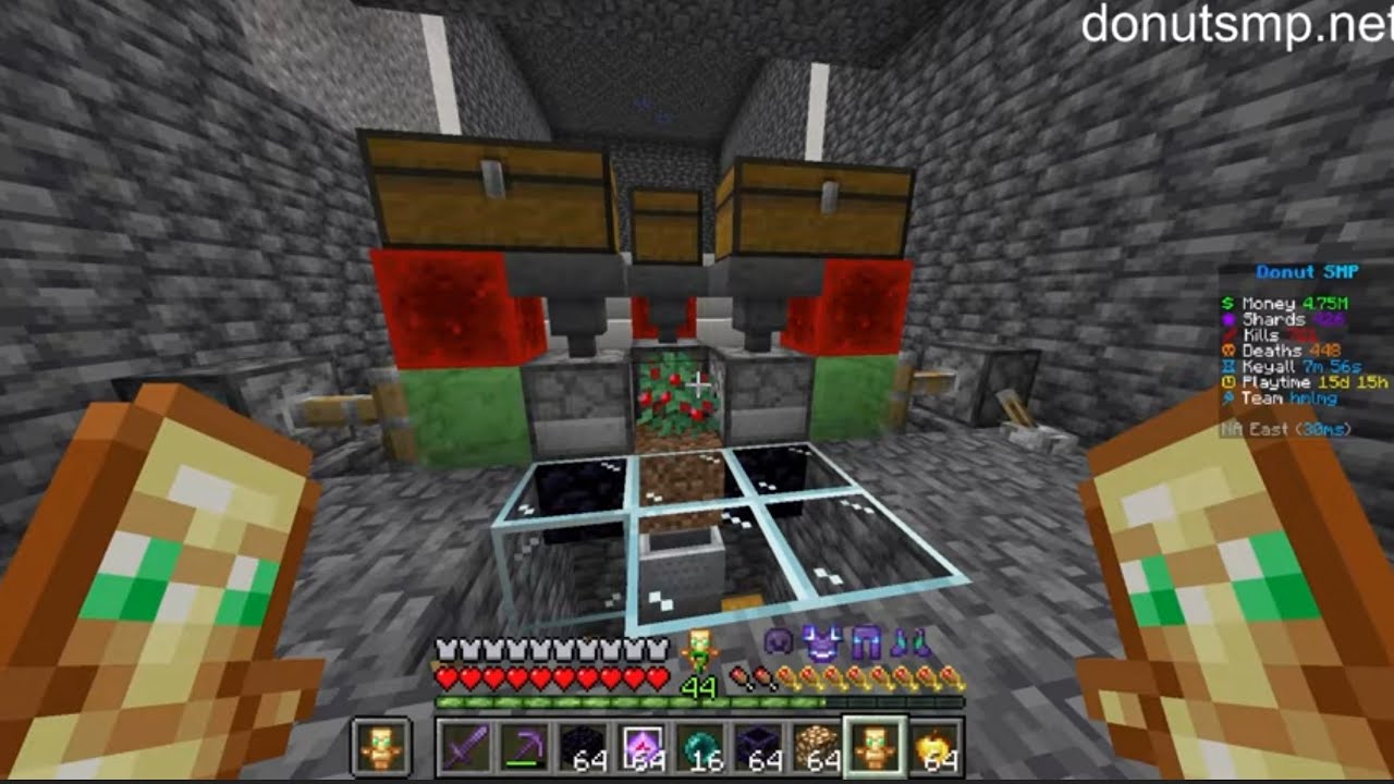 Sweet Berry farm tutorial Donut smp - YouTube