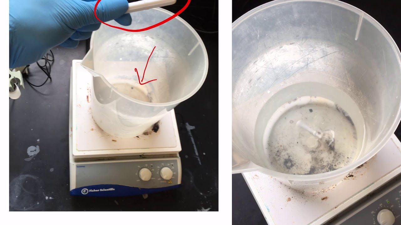 Carrot Callus Induction 1 - Culture Medium Preparation - Plant Tissue ...