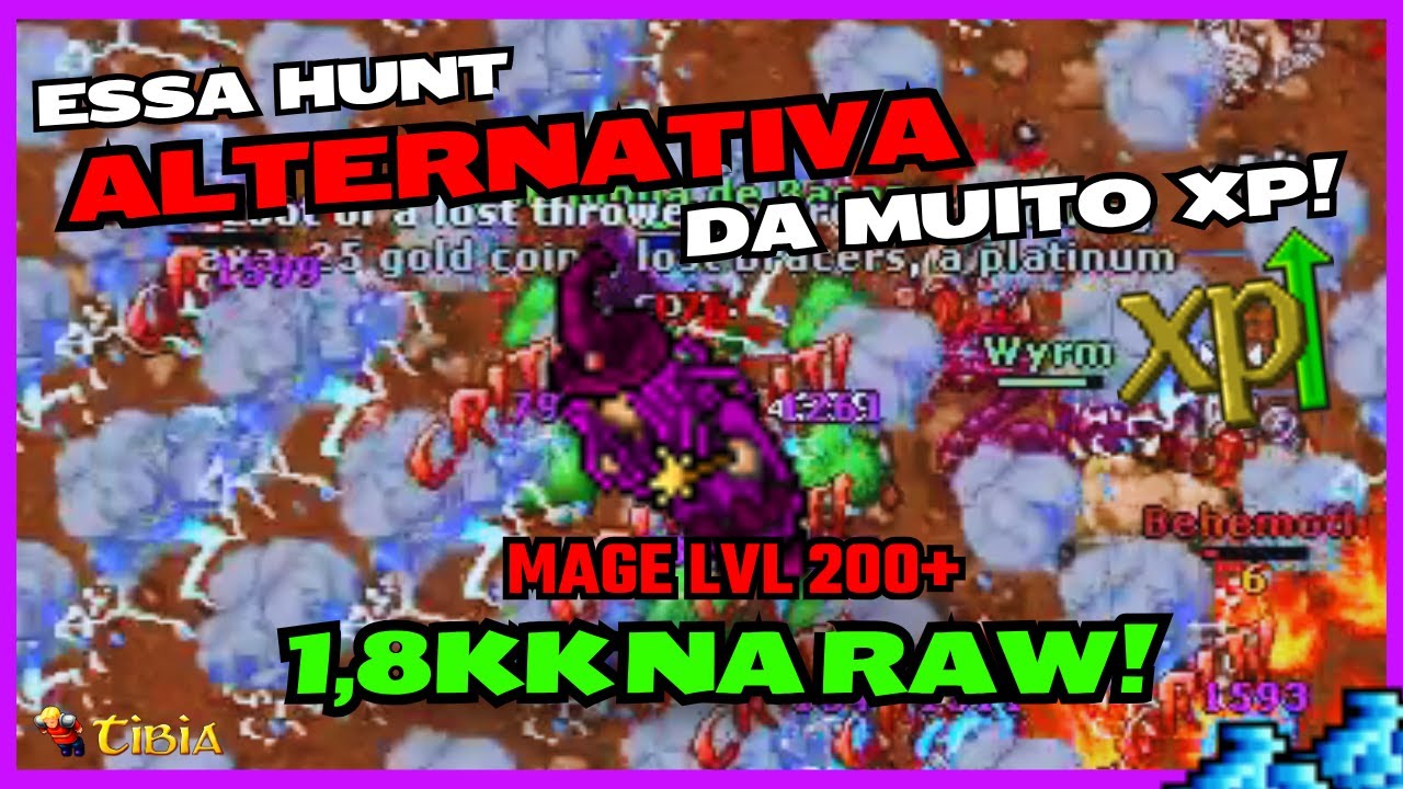 💥Tibia: 2,7kk XP/h e 150 Pontos de Charm – Hunt Alternativa MS/ED - YouTube