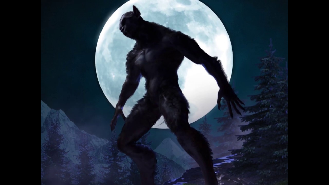 Werewolf Morph test in Blender - Happy Halloween - YouTube