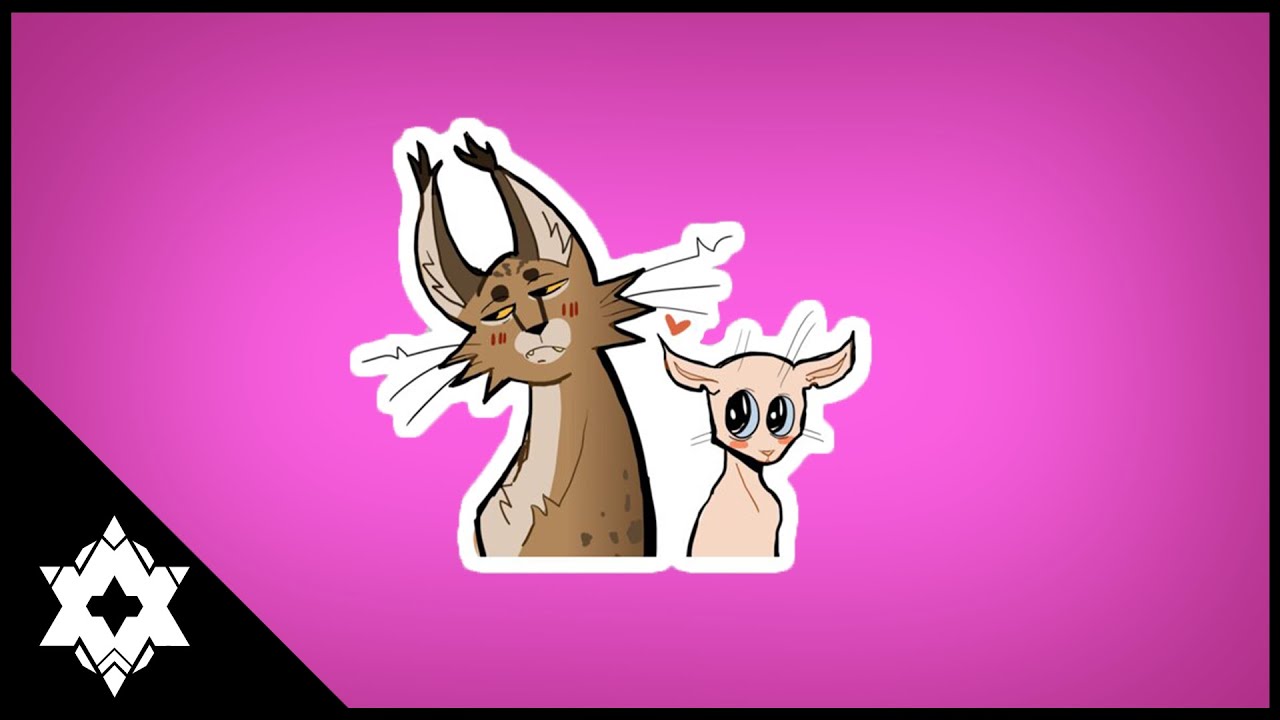 :show me love: (big floppa x bingus edit) - YouTube