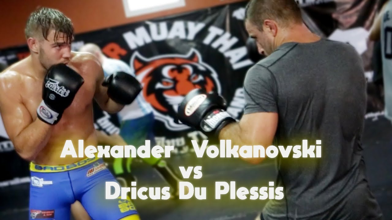 UFC Champions Alexander Volkanovski vs Dricus Du Plessis (Sparring ...