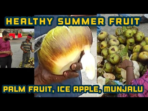Toddy Palm Fruit || Munjal || Ice Apple || Hyderabad Food Walks|| - YouTube