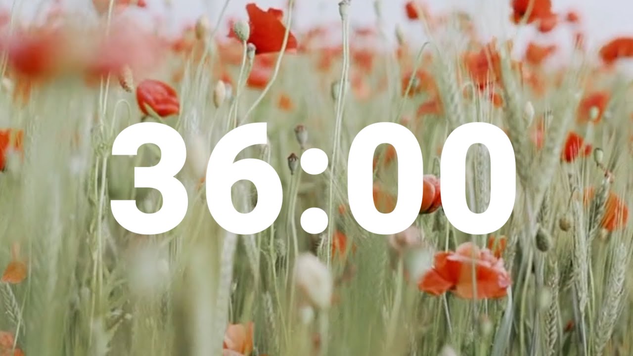 36 Minute Timer with Relaxing Music and Alarm, Countdown Clock for ...