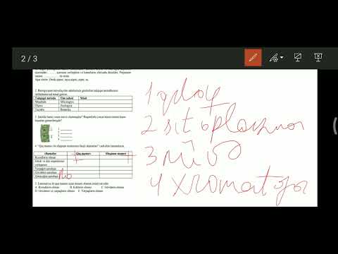 7-ci sinif biologiya ksq 1 izahlı