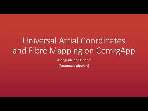 Create Left Atrial Models with Fibre Orientations using CemrgApp (Automatic Pipeline) - YouTube