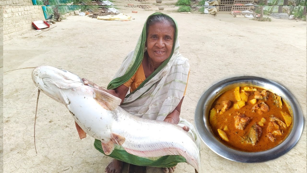 5 kg size boal fish cooking || boal fish curry || boal macher recipe ...