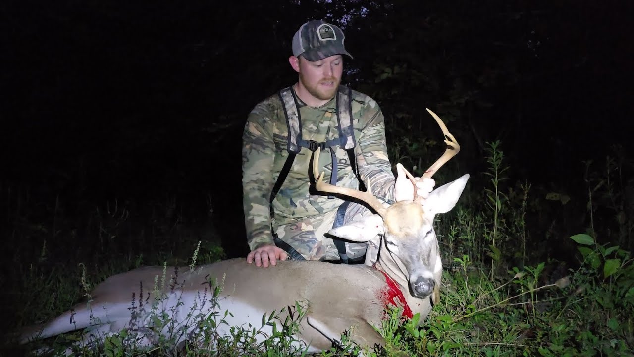 3 Day Early Season East Tennessee Bowhunt Ends With Nice 7 Pointer On The Ground. - YouTube