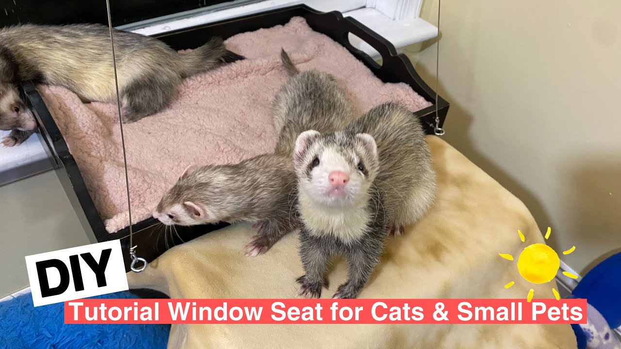 DIY Tutorial Window Seat for Cats & Small Pets - YouTube