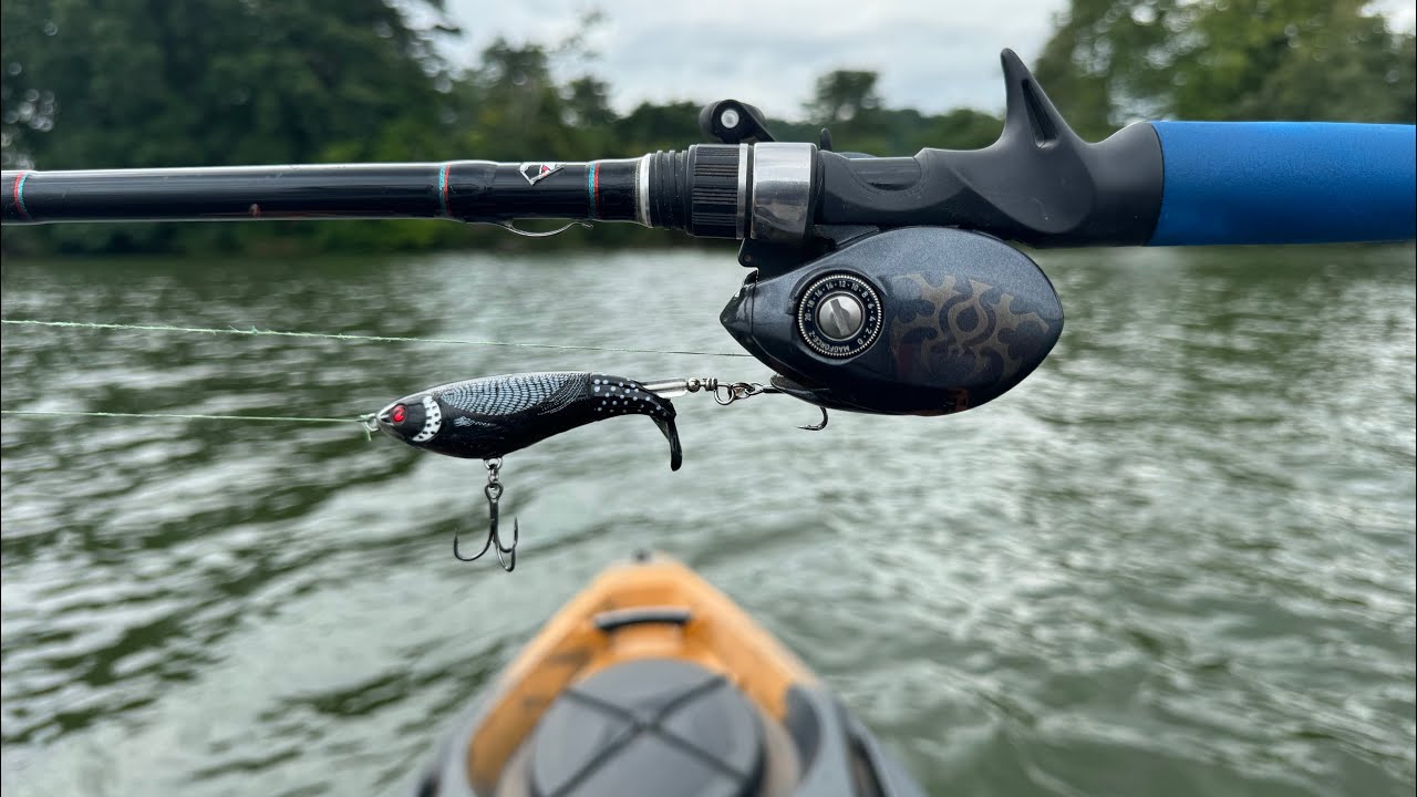 Best Tennessee river top water bite of the year! - YouTube