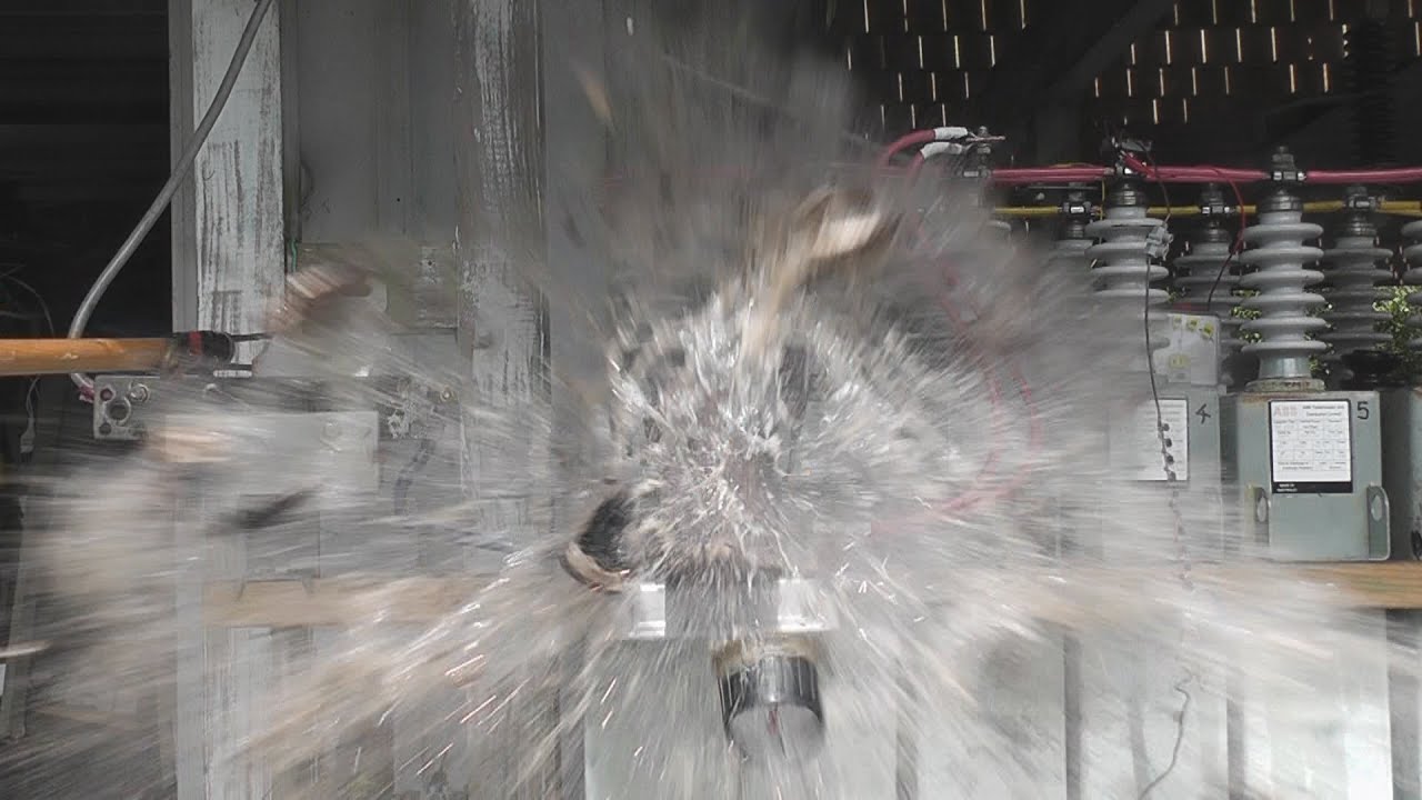 Coconut explodes on Cap Bank - YouTube