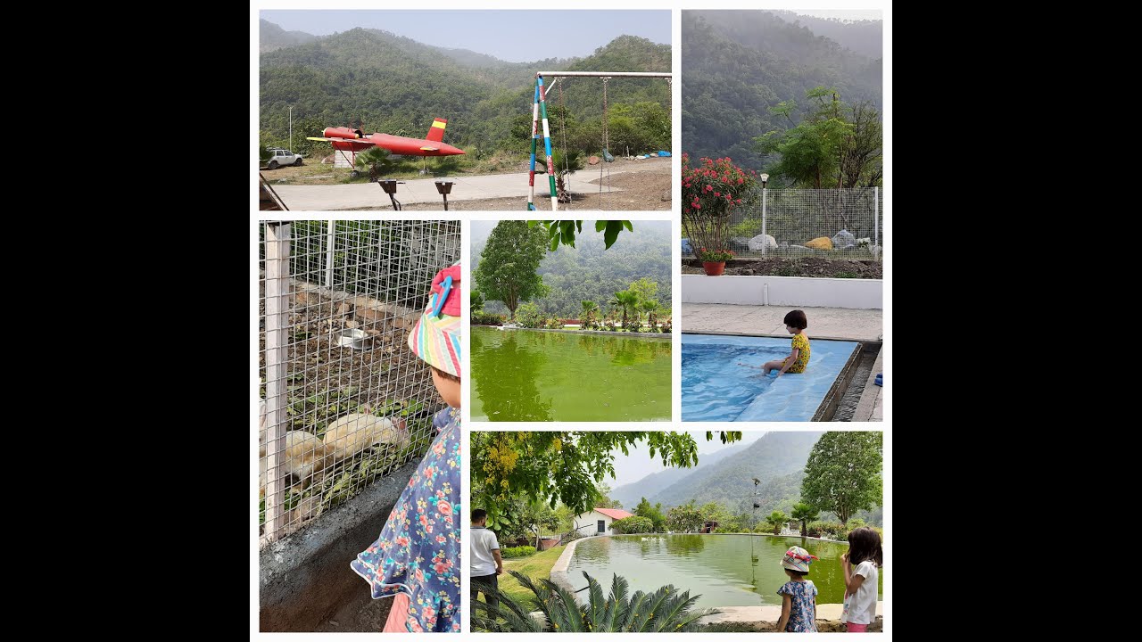 Balaut Resort stay Review #roomtour #nainital #resort - YouTube