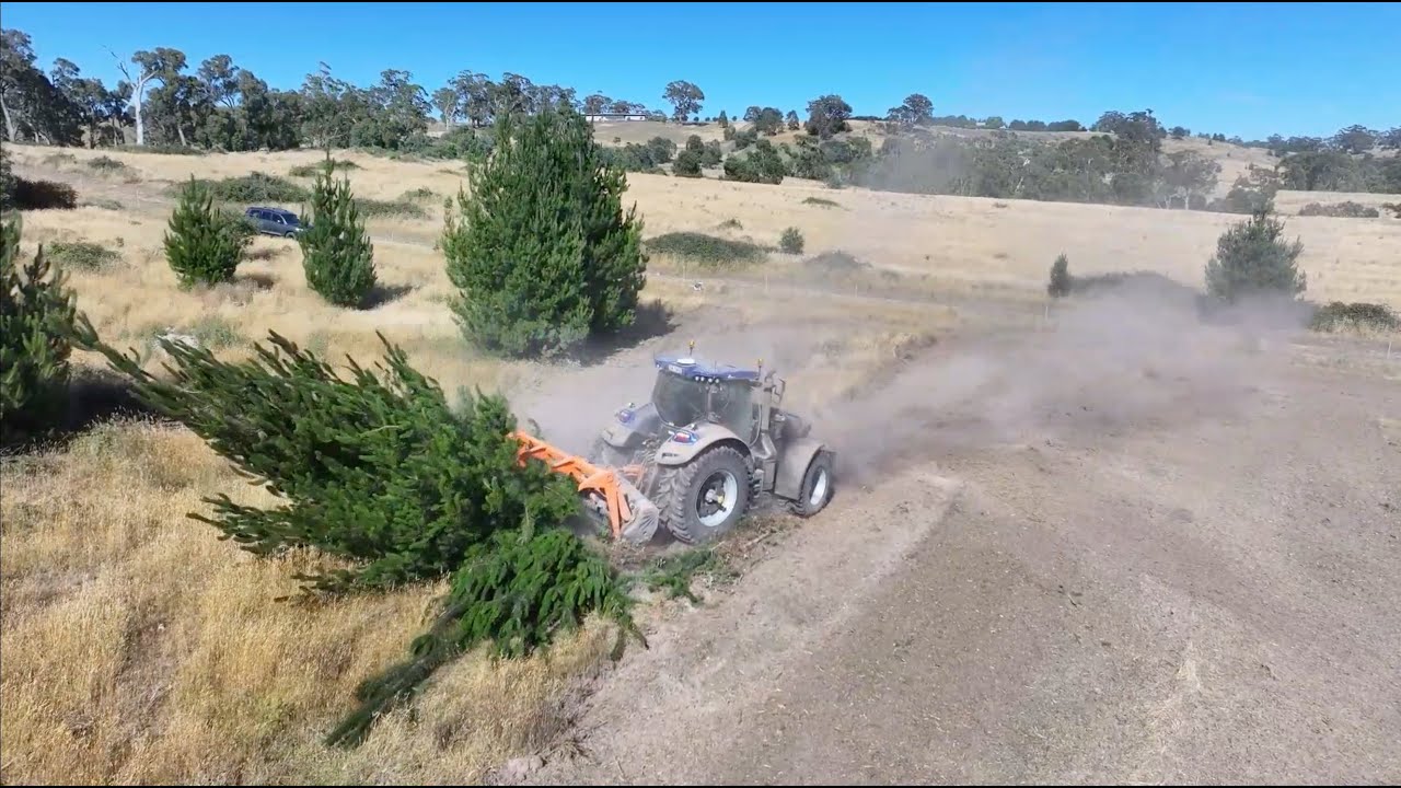 tmc-cancela-tft-250-forestry-mulcher-australia-youtube