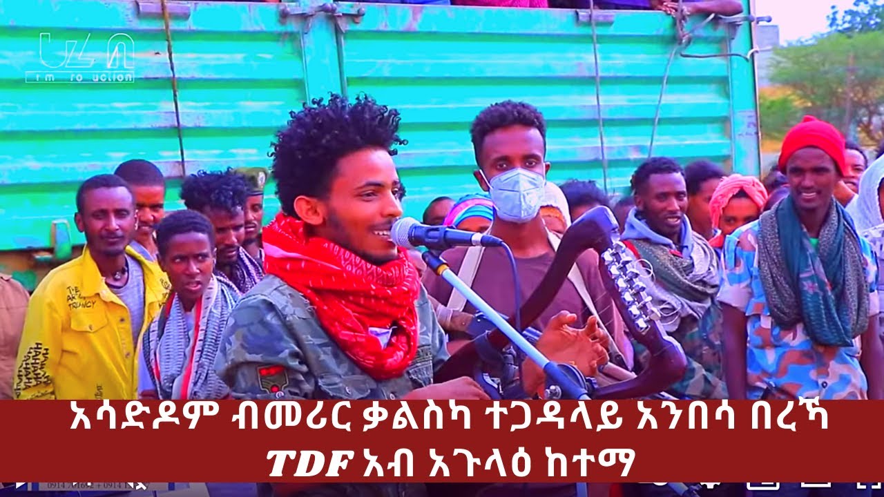 አሳድዶም ብመሪር ቃልስካ ተጋዳላይ አንበሳ በረኻ TDF አብ አጉላዕ ከተማ. // DIGITAL-WEYANE - YouTube