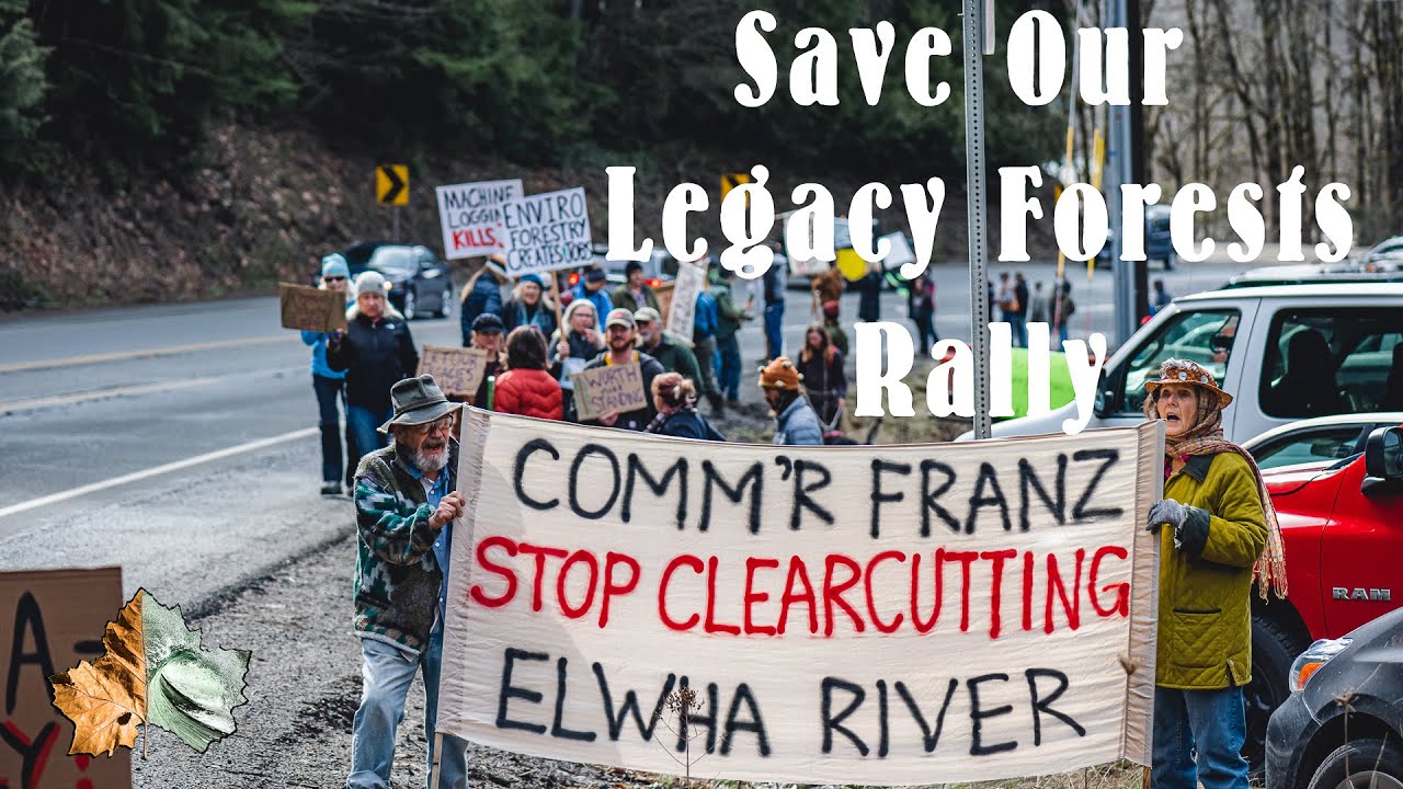 Save Our Legacy Forests Rally - Port Angeles WA! - YouTube