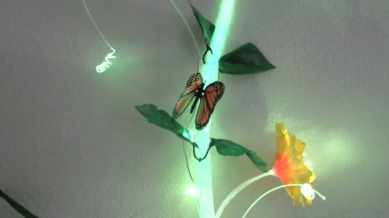 Moving butterfly - YouTube