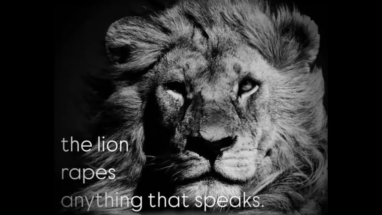 Fat Abo 10 I Genesis Networks - YouTube