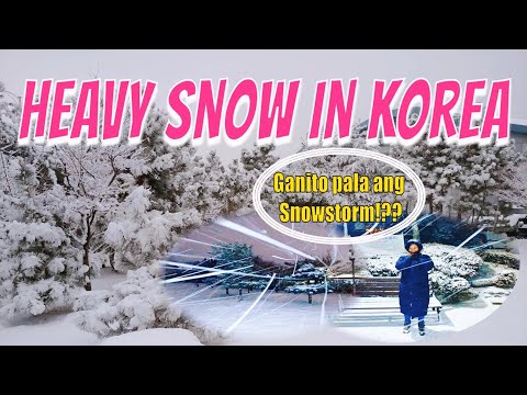 HEAVY SNOWFALL IN KOREA⛄| SNOWSTORM?! 😱❄| 폭설 🇰🇷 | Just Ecel Vlog