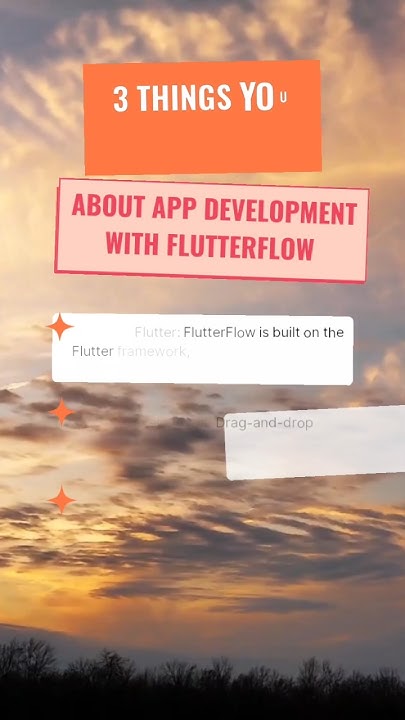 3 Things You Should Know About App Development with FlutterFlow - YouTube