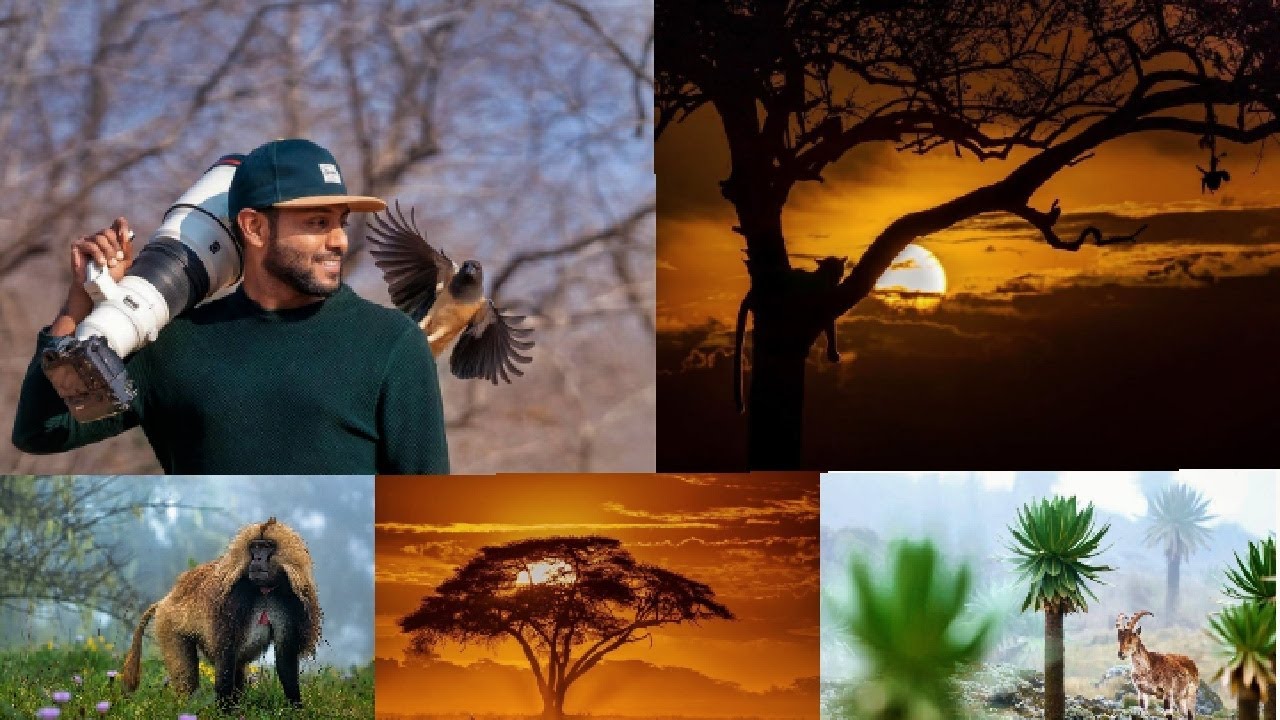 BEST PHOTOGRAPHY | VARUN ADITHYA PHOTOGRAPHER | WILD | NATURE - YouTube