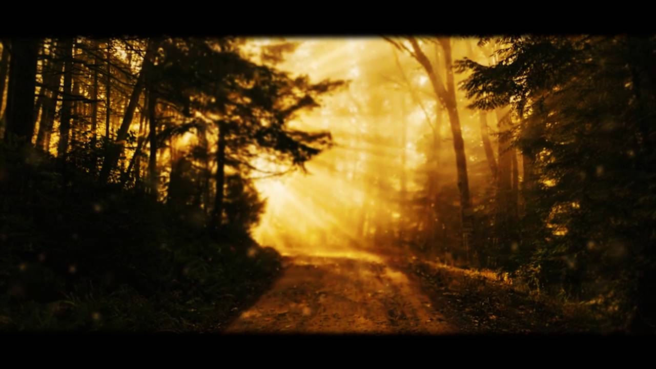 Forest || Still Motion || Lighting || God Rays || VFX - YouTube