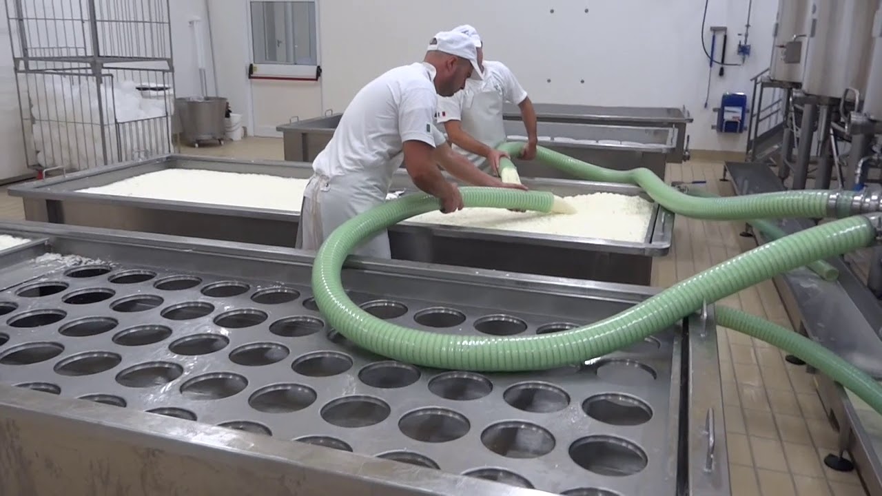 Day 5: How is cheese made? - YouTube