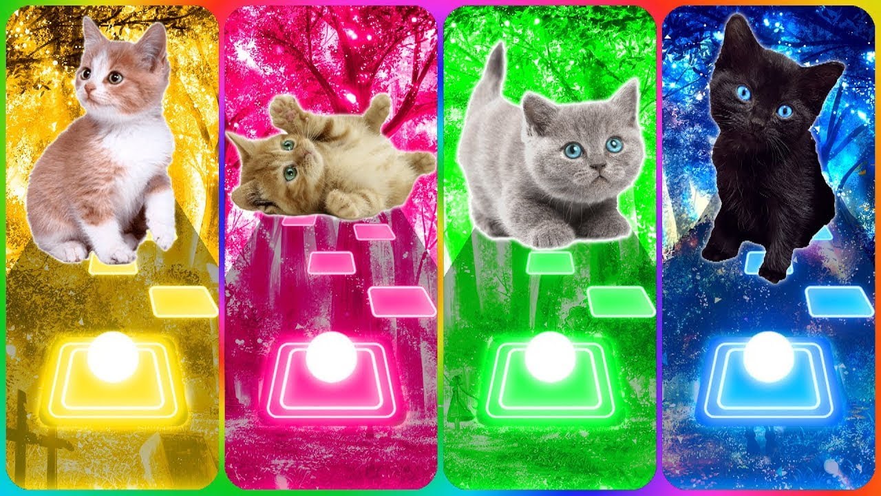 CUTE CATS - LADY GAGA BLOODY MARY - SHAKIRA WAKA WAKA - BLACKPINK - BTS ...