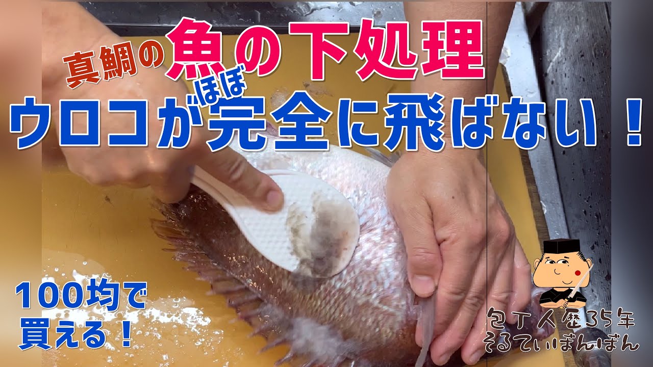 149【ウロコがほぼ完全に飛ばない!】【魚の下処理】【100均で買える!】 Youtube