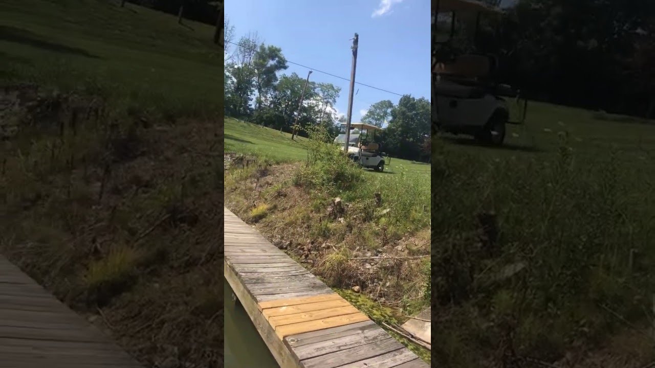 Rogue Golf Cart Goes Rolling || ViralHog - YouTube