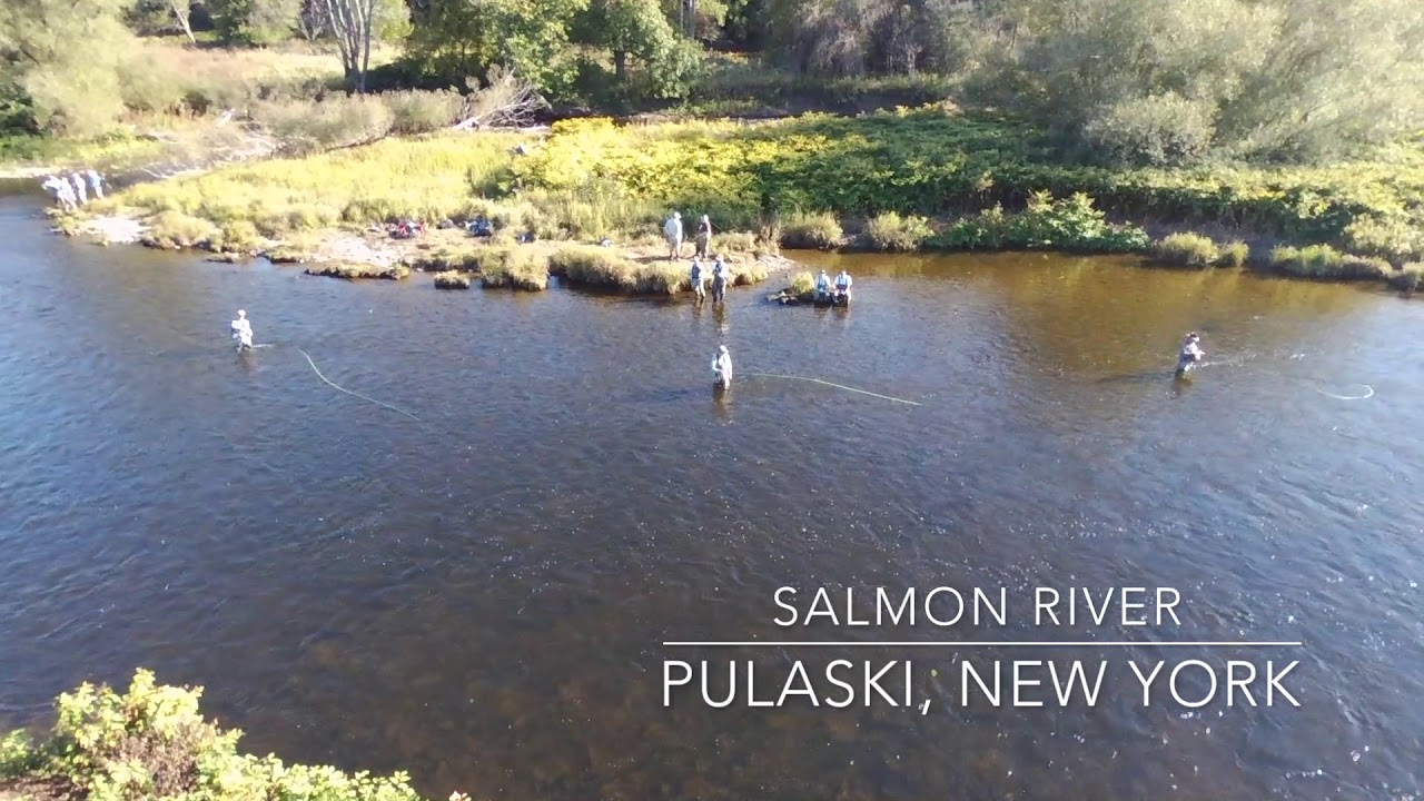 Salmon River Fishing in Pulaski, NY - YouTube