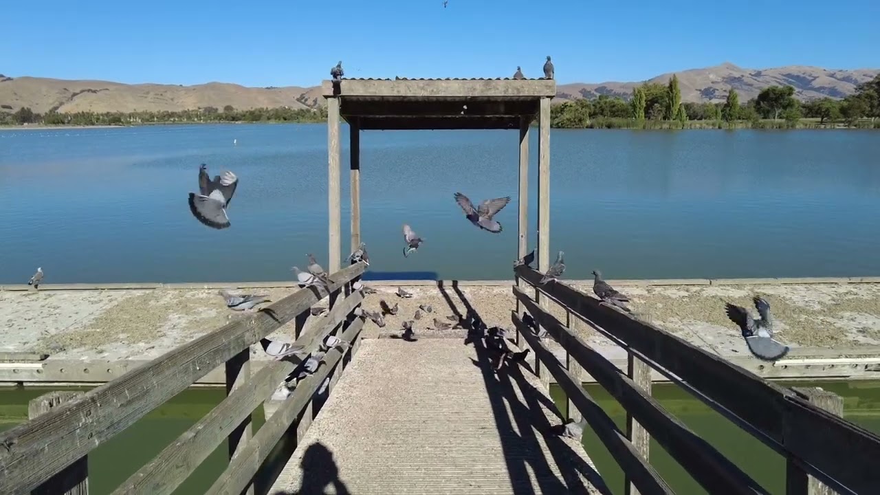 A Quick Trip To The Lake (Lake Elizabeth, Fremont, California ...