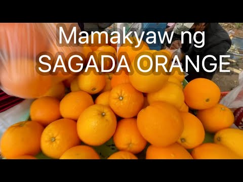 Sagada Orange beside The Mansion || What you do when in Baguio City ...