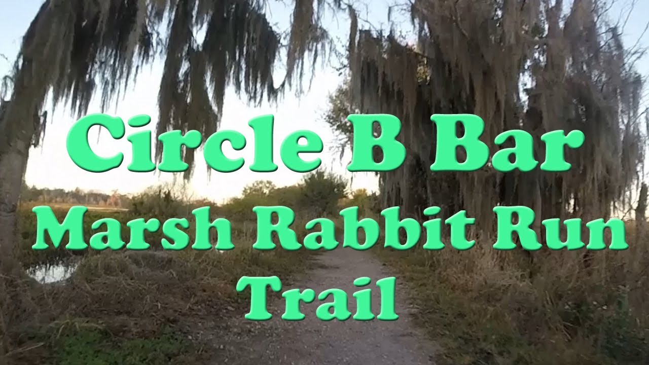 Circle B Bar Trail- Marsh Rabbit Run PART 9 - YouTube